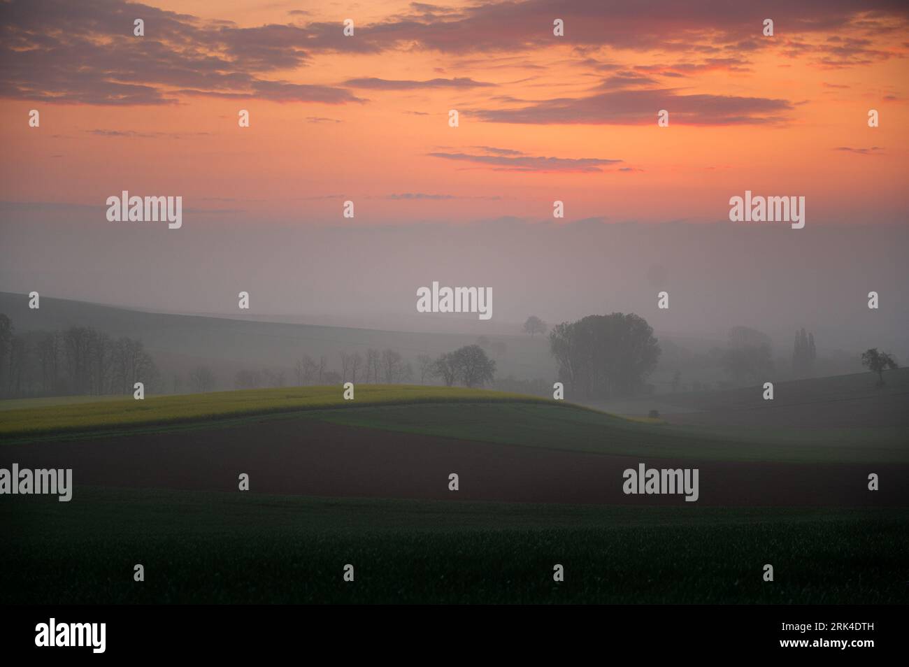 Scenic view on hilly fields, covered in fog during sunrise Stock Photo ...
