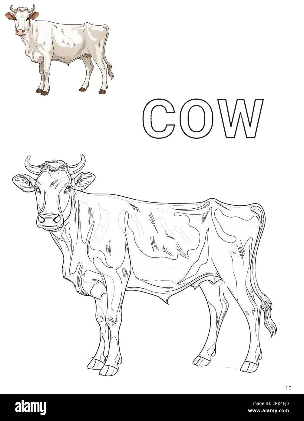 A digital blank illustration of a cow for a coloring book with the ...