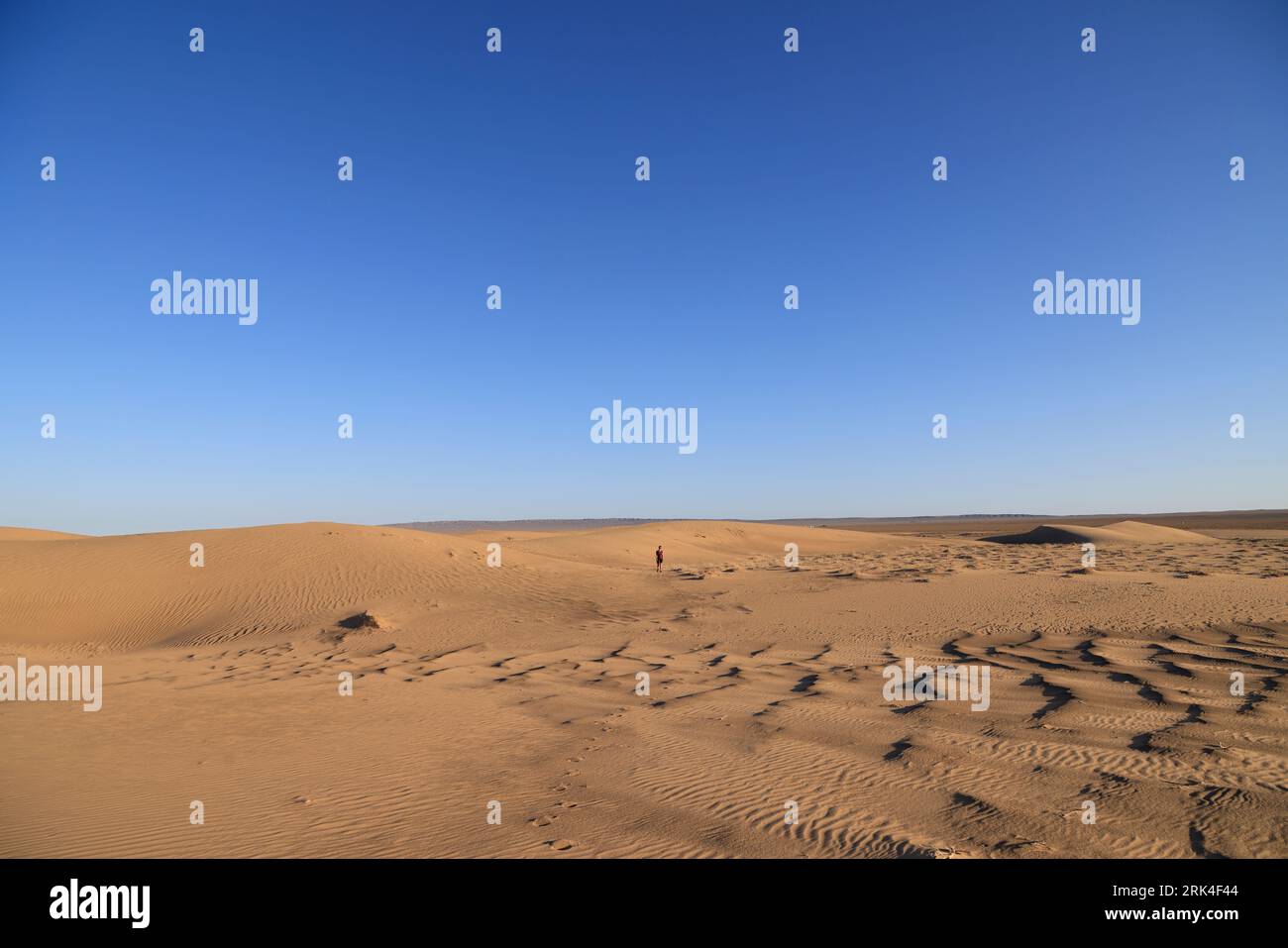 The singing dunes of Khongoryn Els in the morning, Gobi desert Stock ...