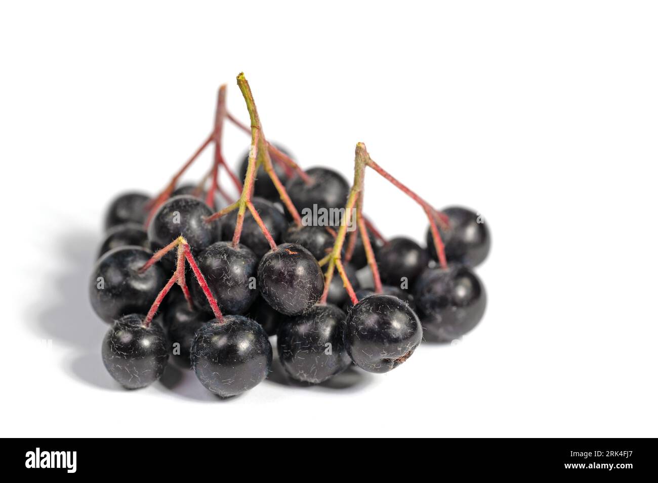 Aronia berries isolated against white background Stock Photo - Alamy