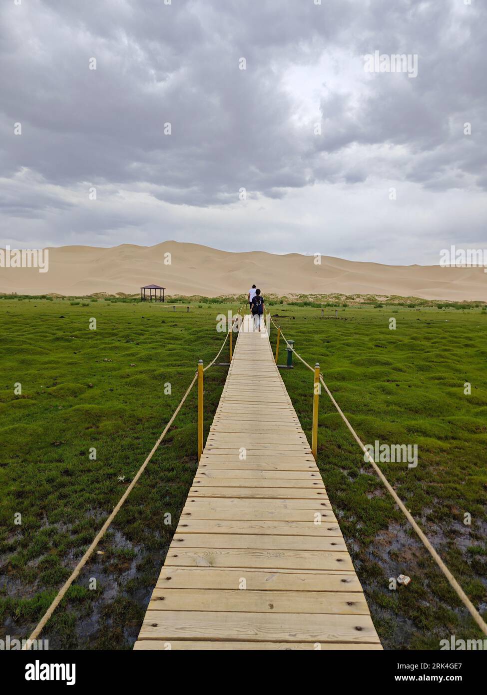 A group of people walking along a thin, wooden boardwalk in a rural ...