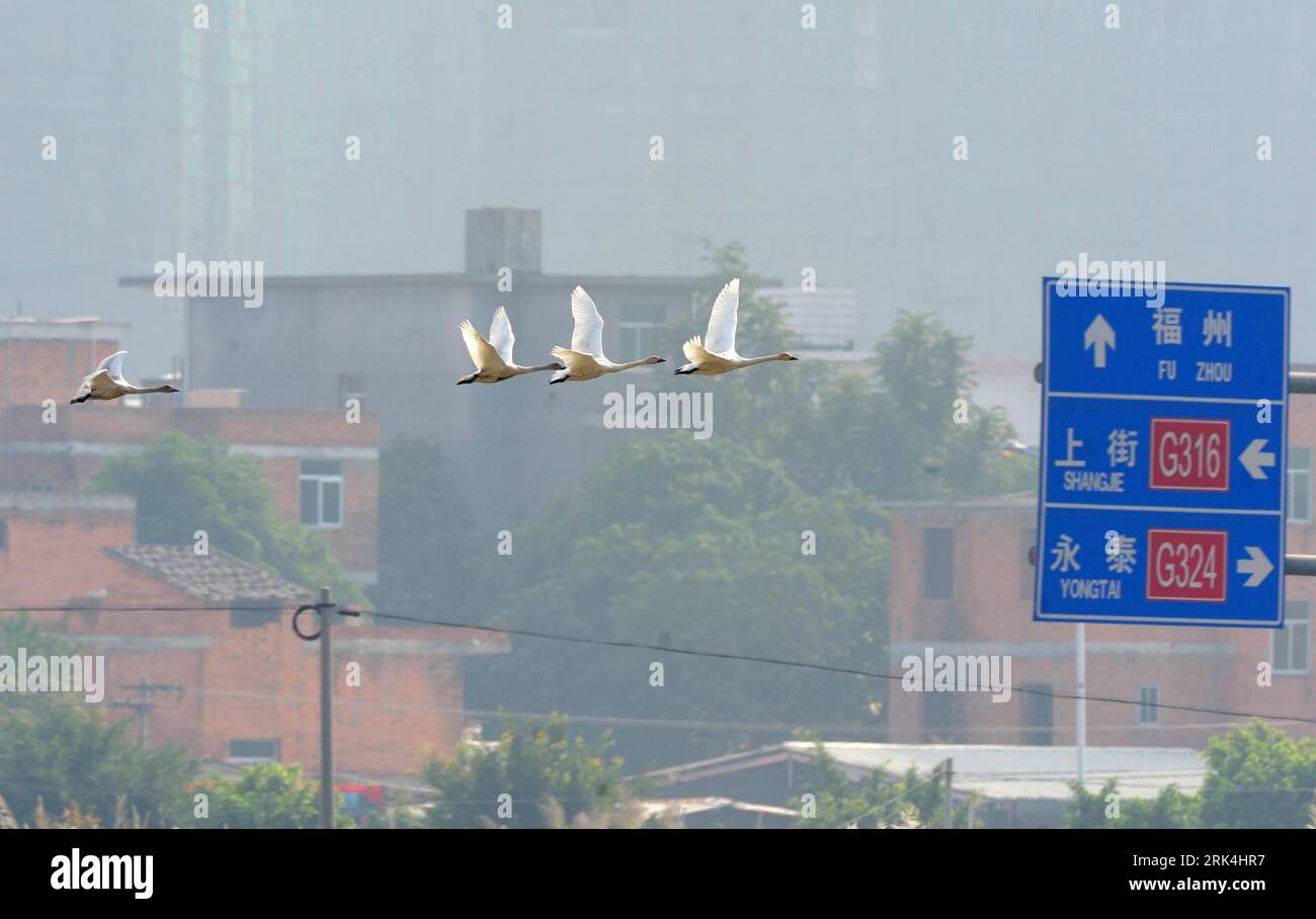 Bildnummer: 53633450 Datum: 29.11.2009 Copyright: imago/Xinhua (091129 ...