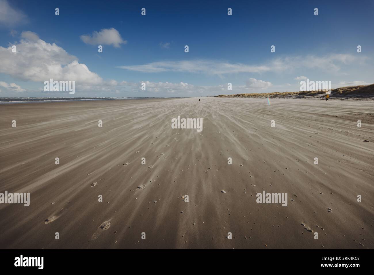 A beautiful sandy beach with the wind blowing grains of sand Stock ...