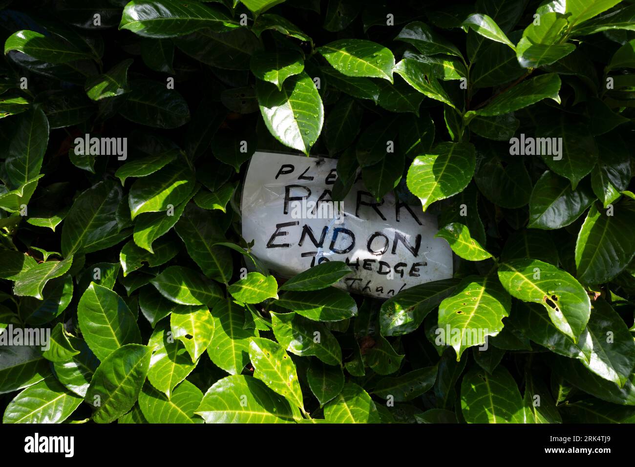 Please park end on to hedge sign Stock Photo - Alamy