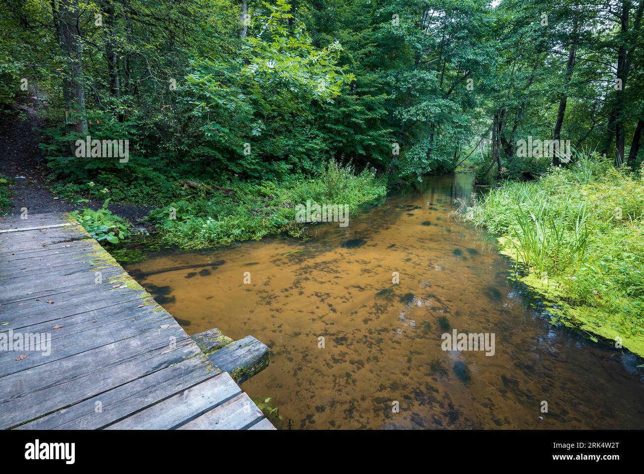 Wooden footbridge over small, calm, stream. Amazing, clean water and ...