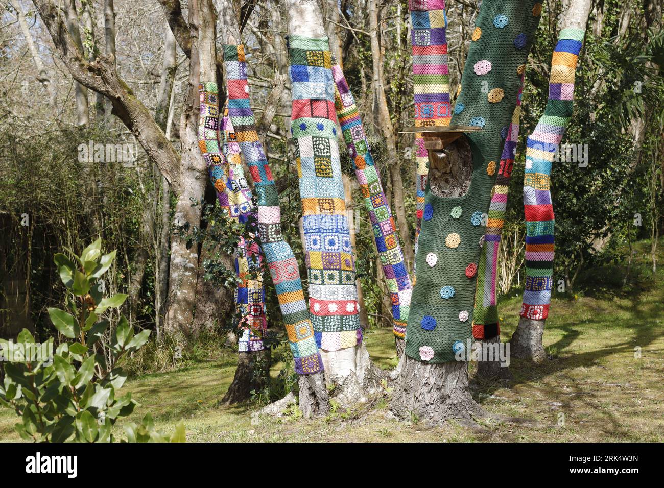 Colores de cría hi-res stock photography and images - Alamy