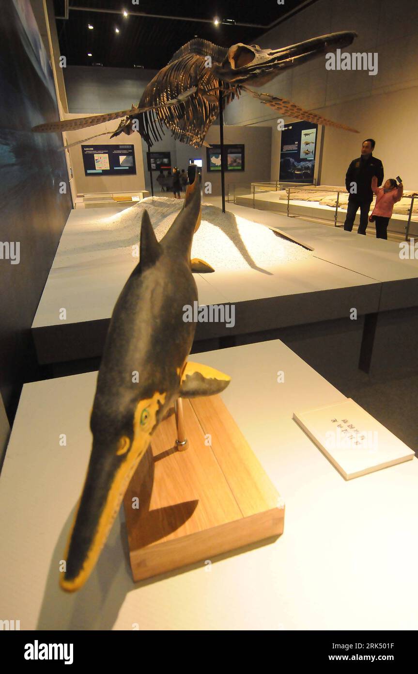 Bildnummer: 53681464 Datum: 20.12.2009 Copyright: imago/Xinhua (091221 ...