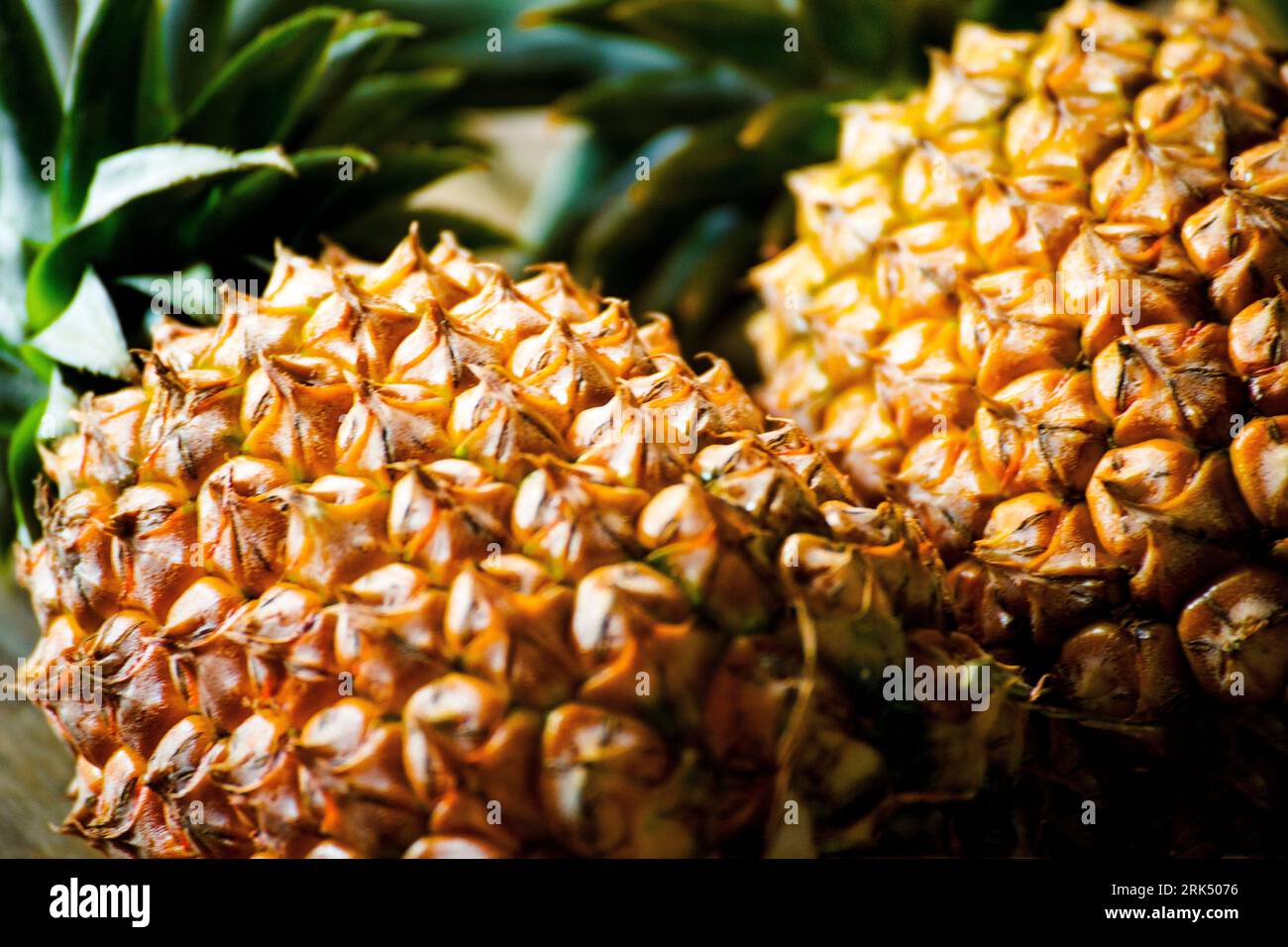 A pile of fresh pineapples sits in the center, invitingly ripe and ...