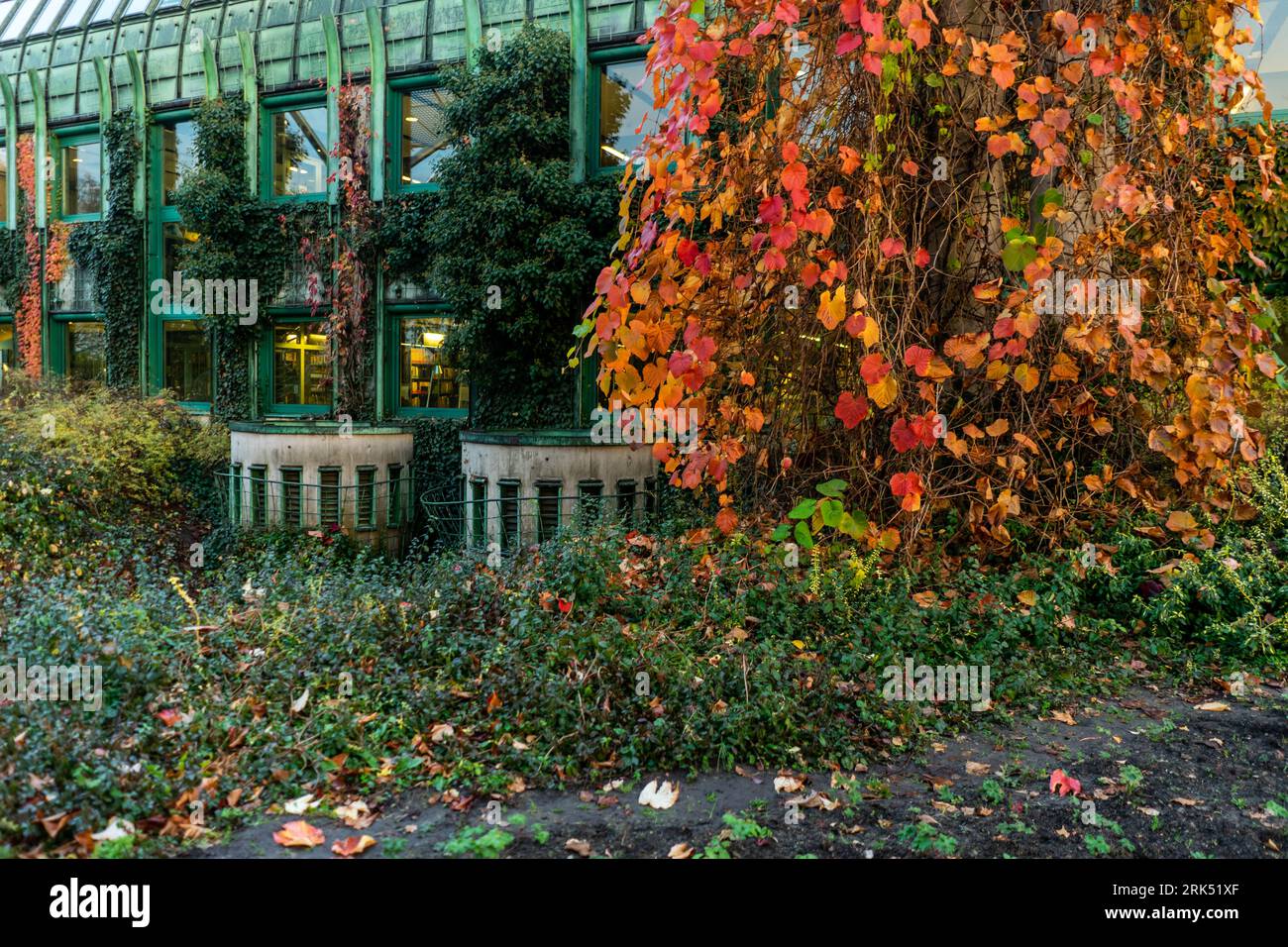 beautiful modern library gardens at Warsaw, autumn sunset Stock Photo ...
