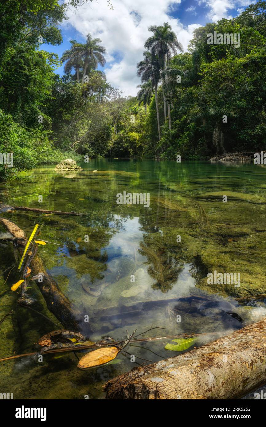 A scenic view of the San Juan River in Matanzas, Cuba Stock Photo - Alamy