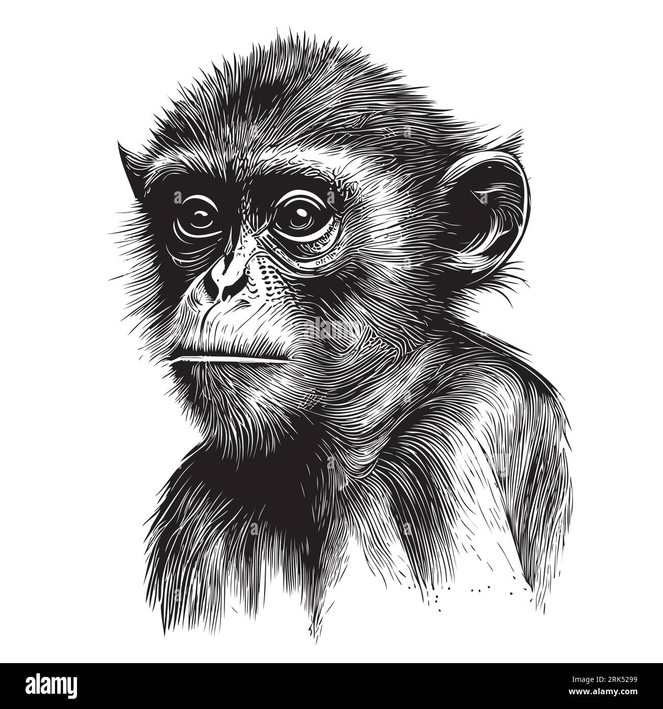 Cute monkey hand drawn sketch Wild animals illustration Stock Vector ...