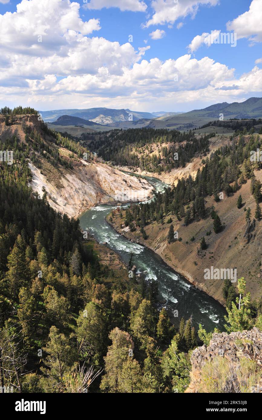 An aerial view of Yellowstone River winding through lush green trees on ...