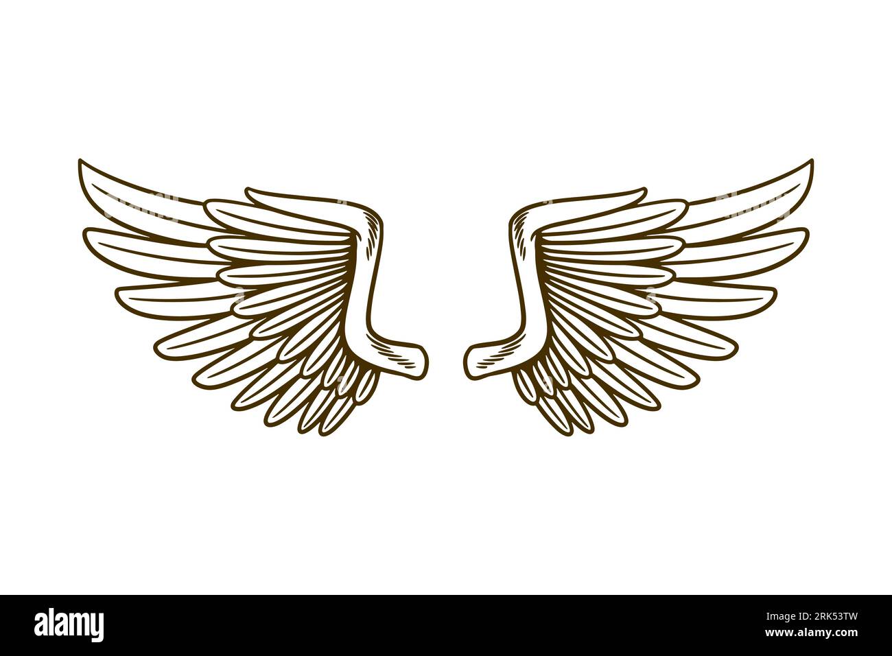 eagle wing vector illustration Stock Vector Image & Art - Alamy