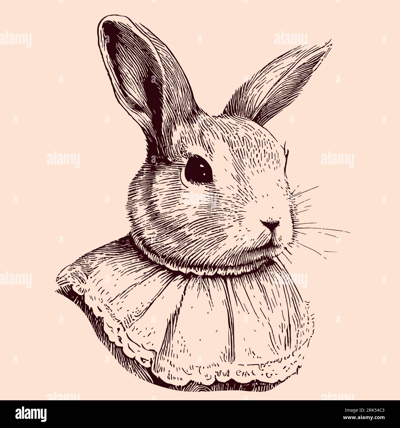 Rabbit in dress retro portrait sketch hand drawn illustration Stock ...