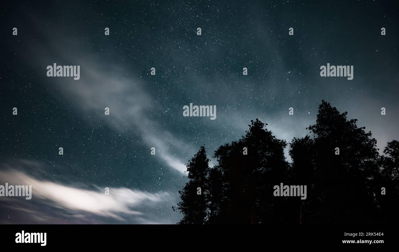A tranquil night scene featuring a starry sky above lush trees Stock ...