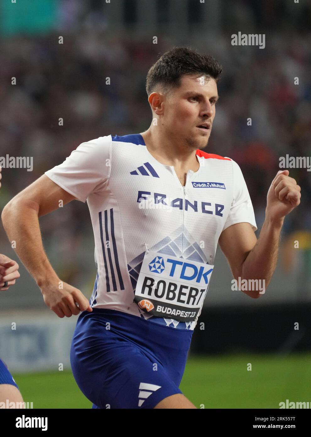 Benjamin robert budapest 2023 hi-res stock photography and images - Alamy