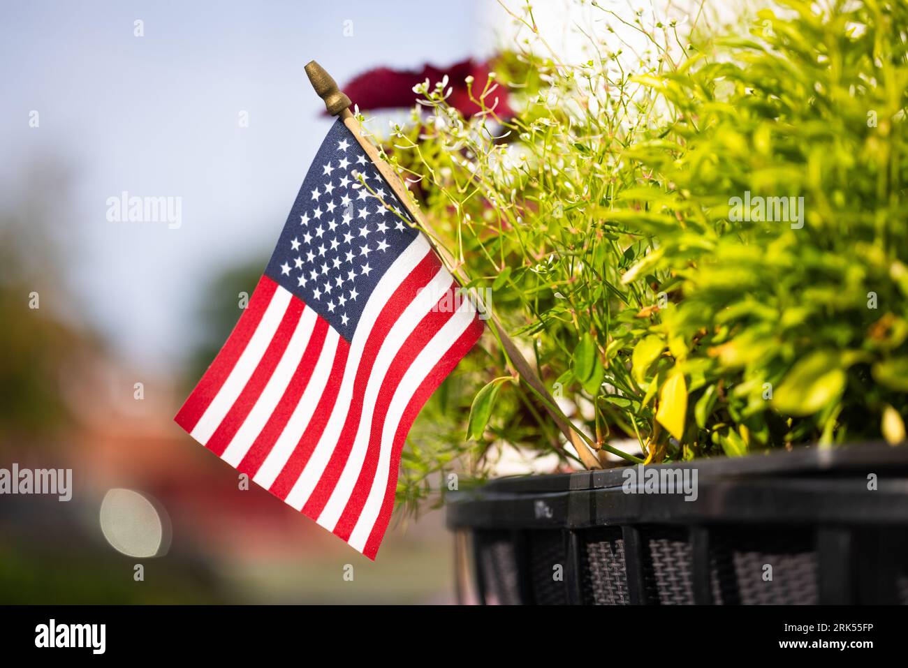 An American flag draped over a potted planter Stock Photo - Alamy
