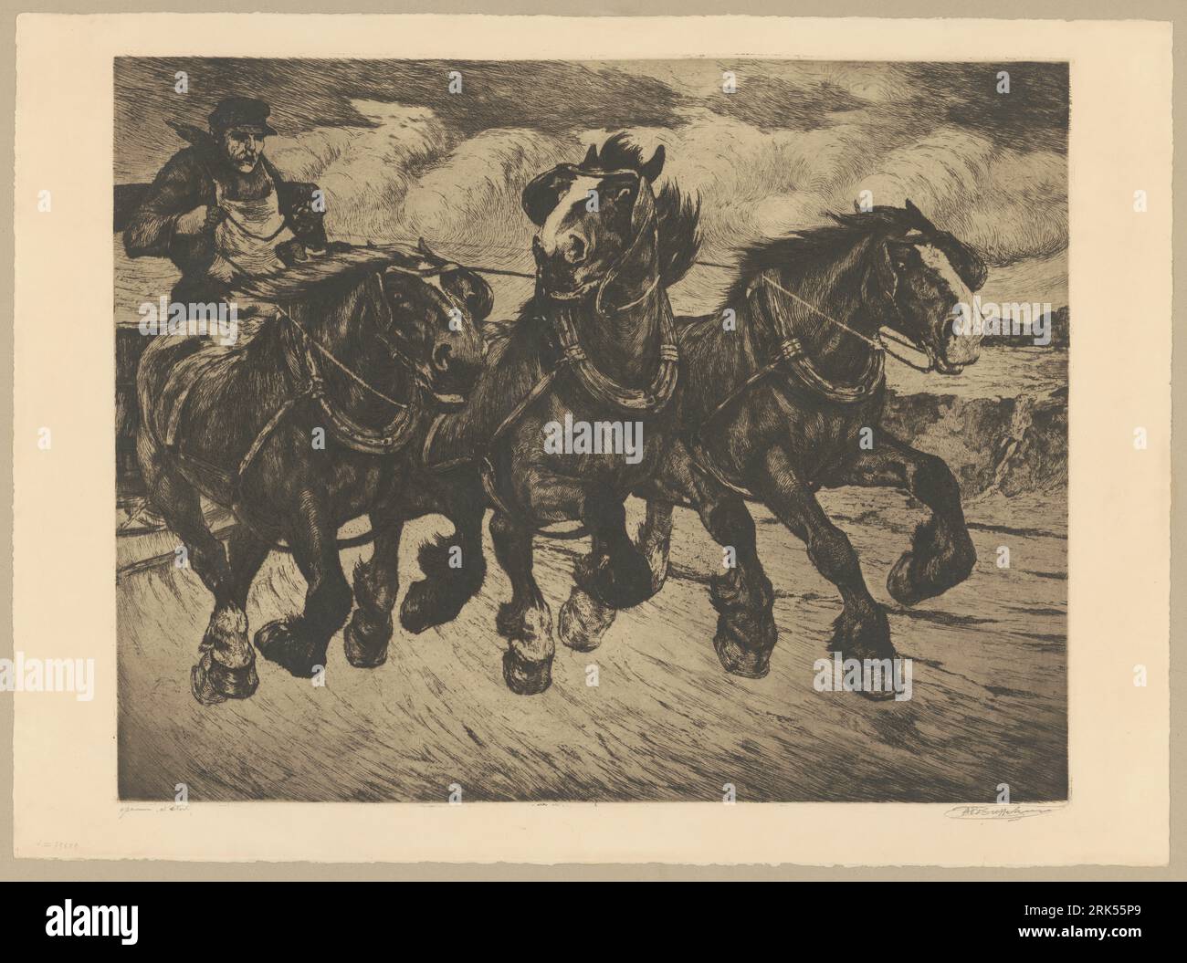 Trois chevaux au galop hi-res stock photography and images - Alamy