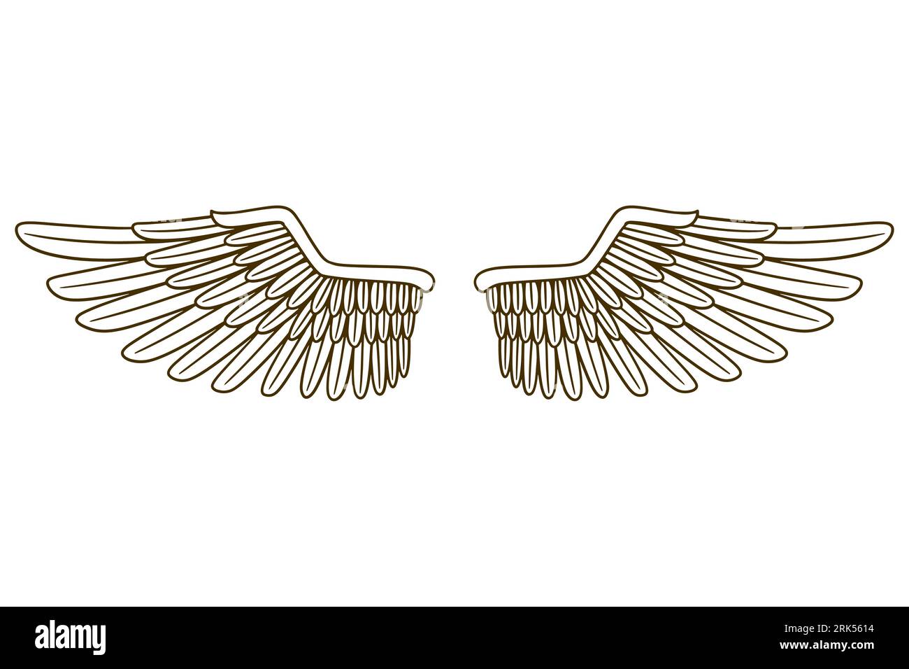 eagle wing vector illustration Stock Vector Image & Art - Alamy