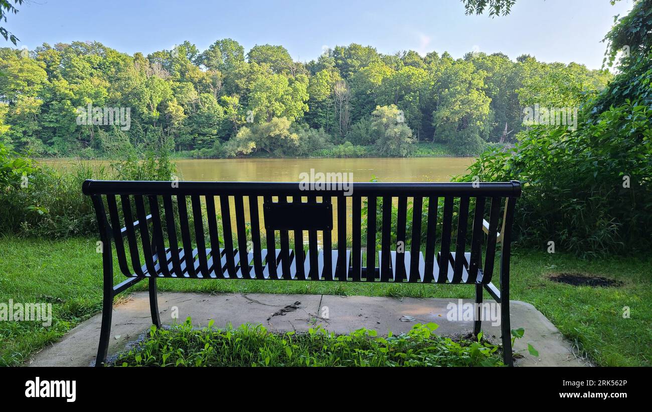 A wooden park bench situated in an outdoor environment surrounded by ...
