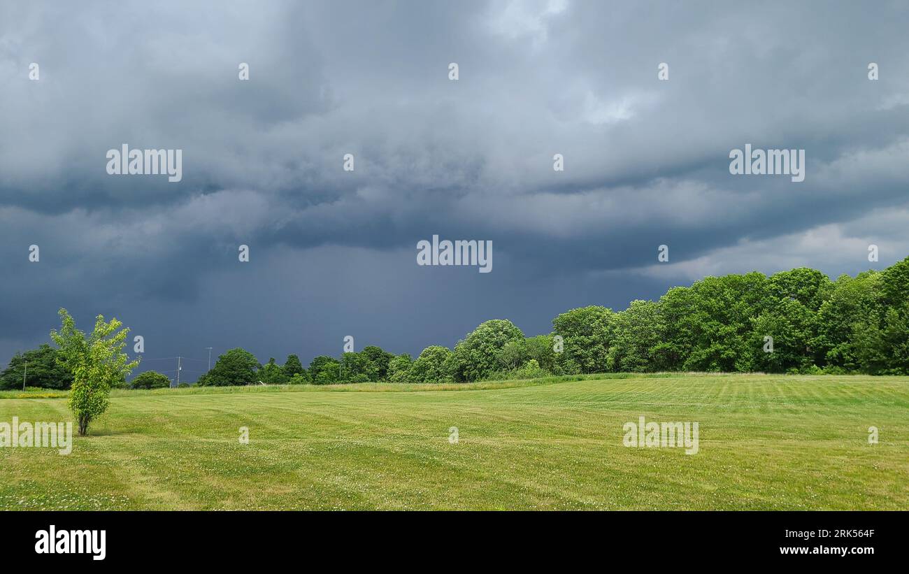 A grassy field blanketed in clouds with rain falling from the sky Stock ...