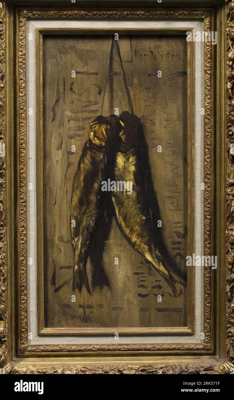 Fish still life before 1922 by Suze Robertson Stock Photo - Alamy