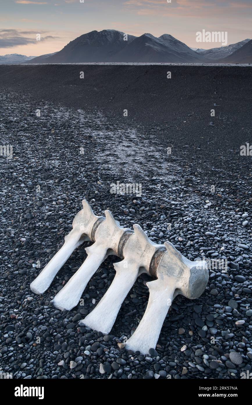 Dramatic winter landscapes in the South East of Iceland Stock Photo - Alamy