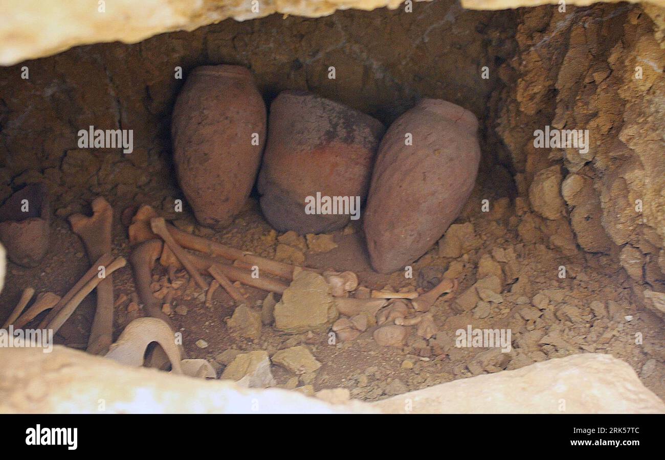 Bildnummer: 53717225 Datum: 11.01.2010 Copyright: imago/Xinhua (100111 ...