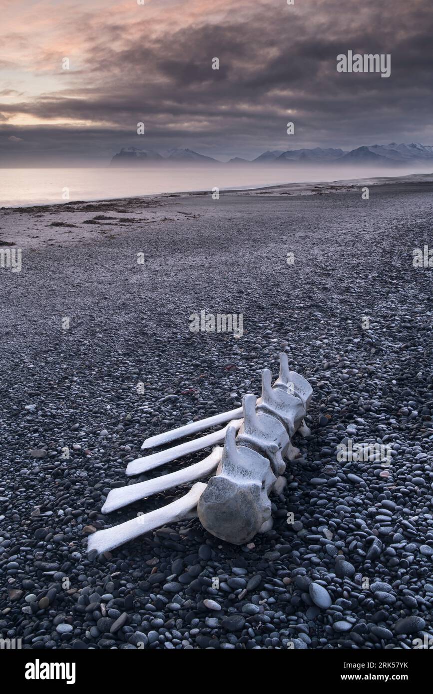 Dramatic winter landscapes in the South East of Iceland Stock Photo - Alamy