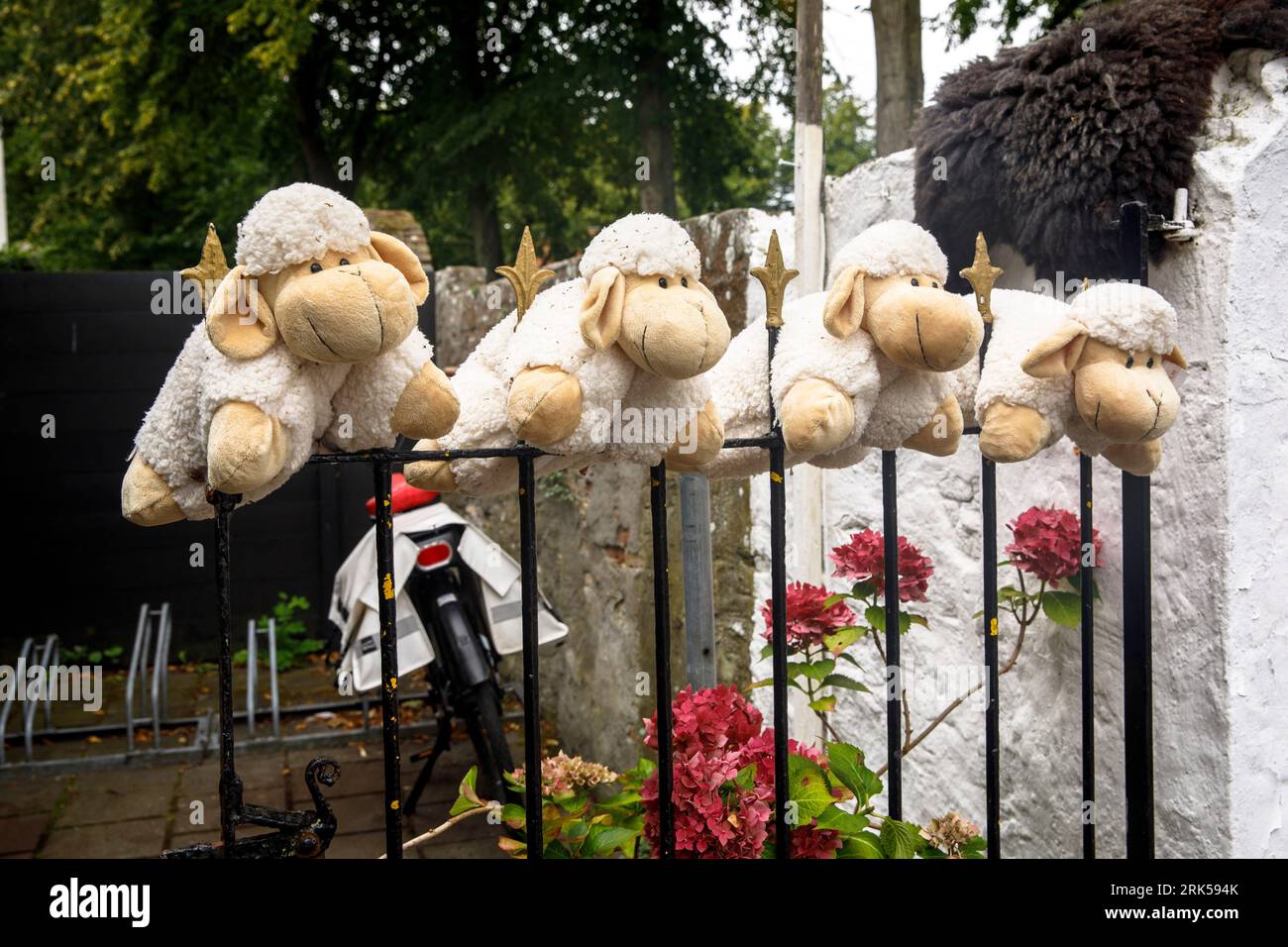 Plush sheeps hi-res stock photography and images - Alamy
