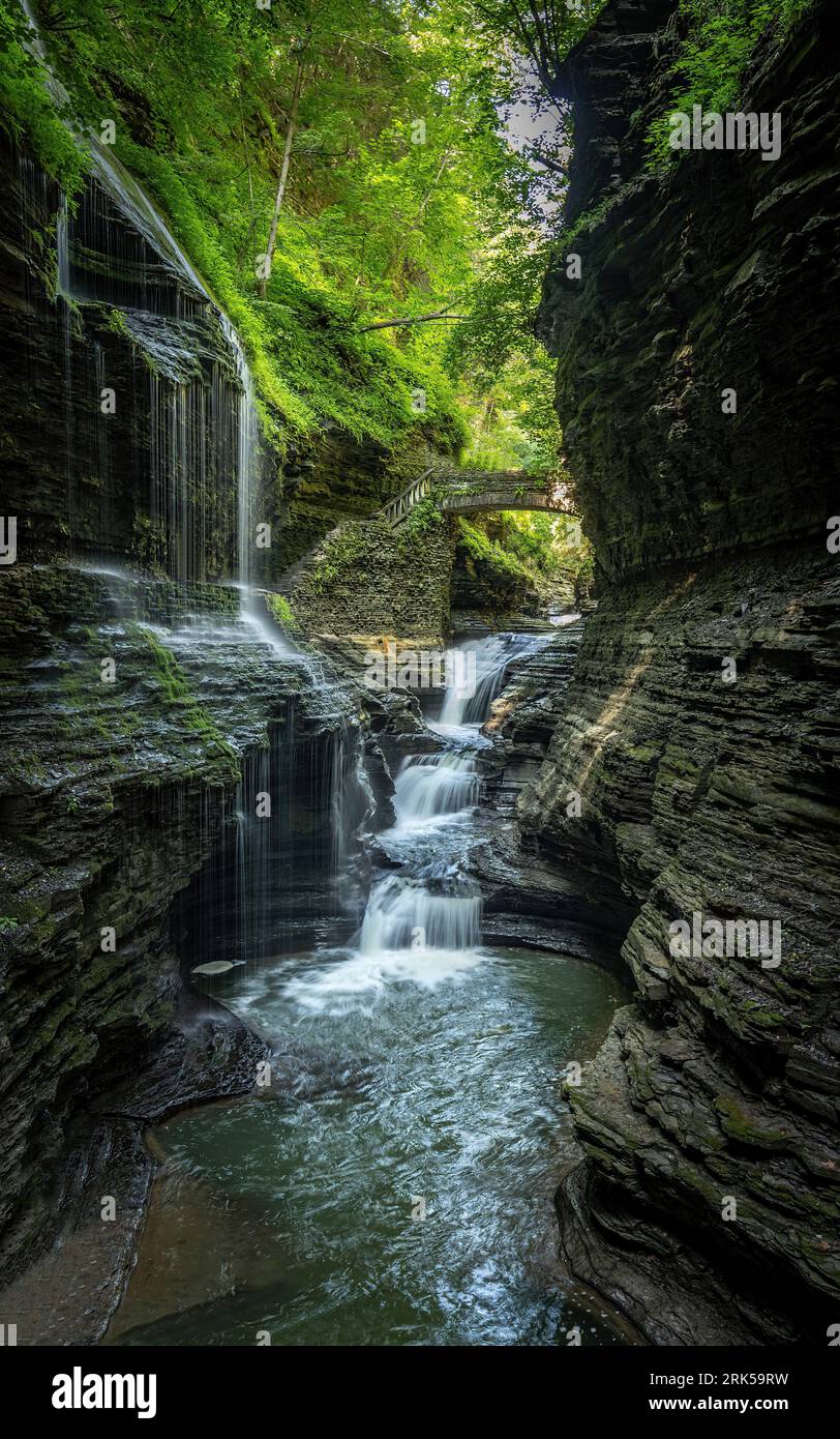 A waterfall cascading through the green forest in the middle of the ...