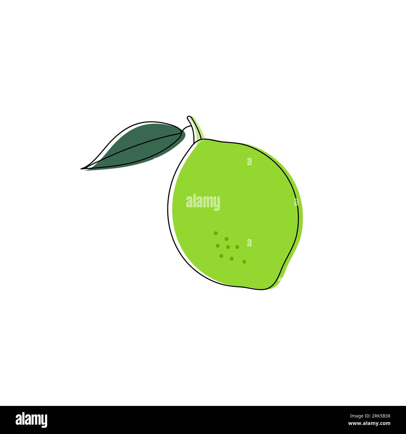 Lime hand drawn. Abstract shape fruit inspiration. Vector illustration ...
