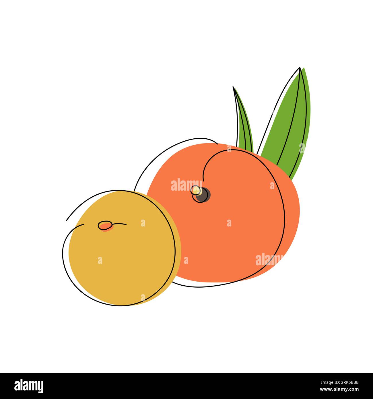 Two peaches hand drawn. Abstract shape fruit inspiration. Vector ...