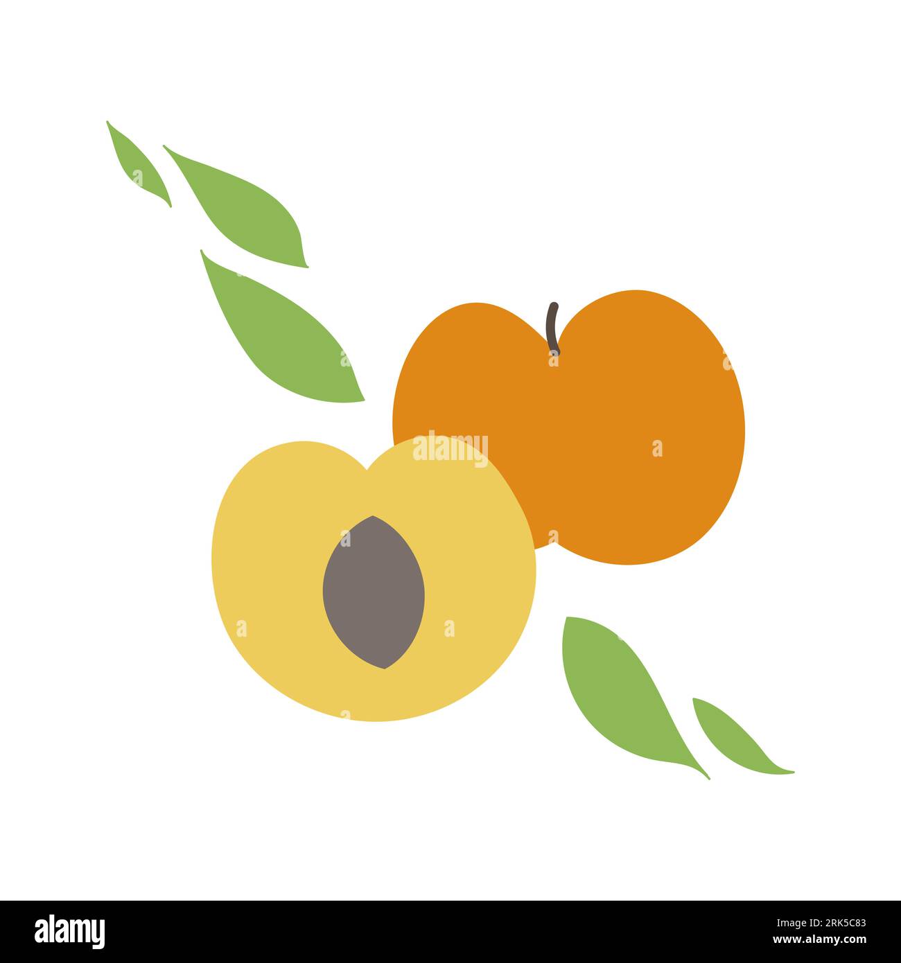 Peaches hand drawn. Abstract shape fruit inspiration. Vector ...