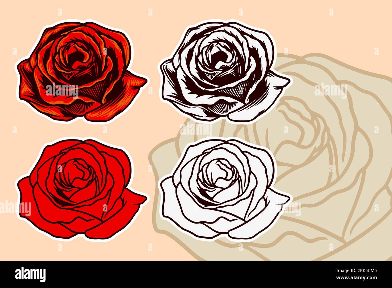 Rose flower vector illustration set Stock Vector Image & Art - Alamy