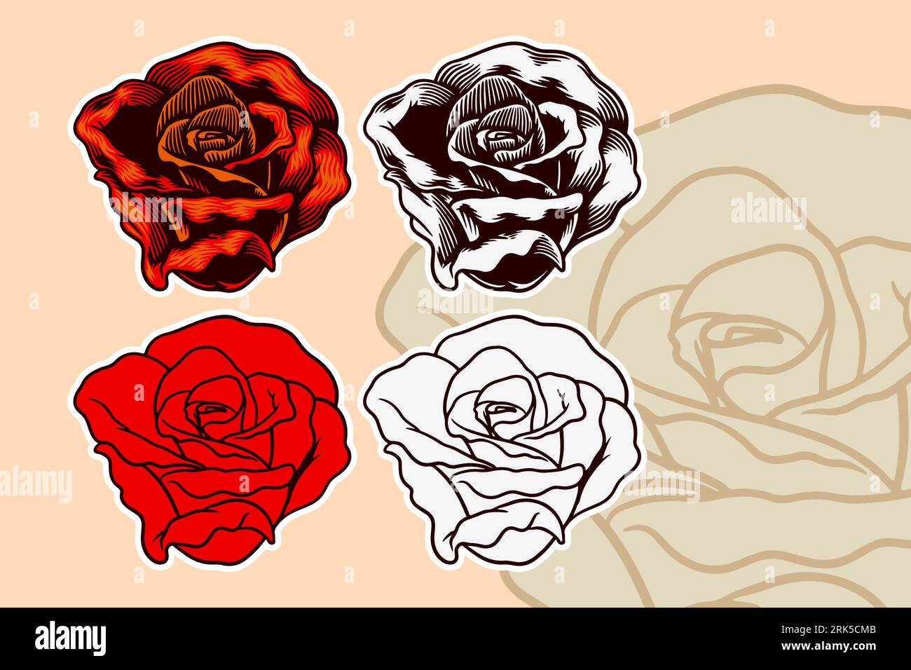 Rose flower vector illustration set Stock Vector Image & Art - Alamy