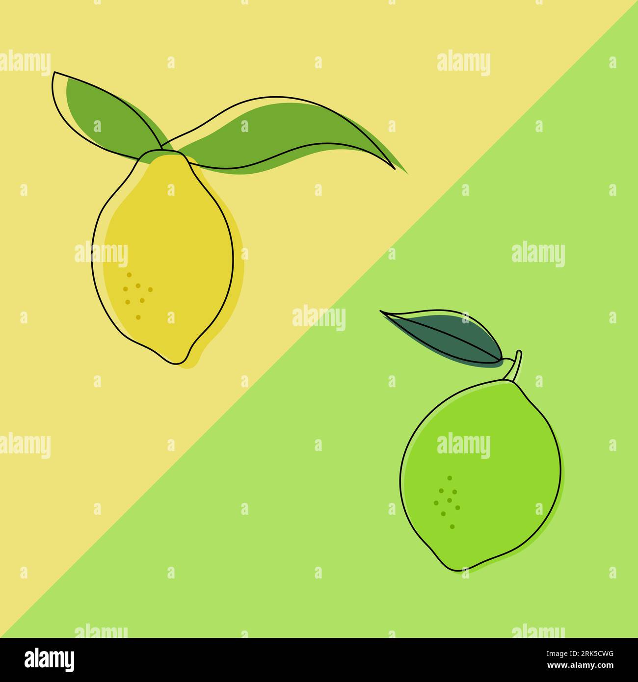 Lemon versus lime. Citric fruits comparison. Vector illustration, flat ...