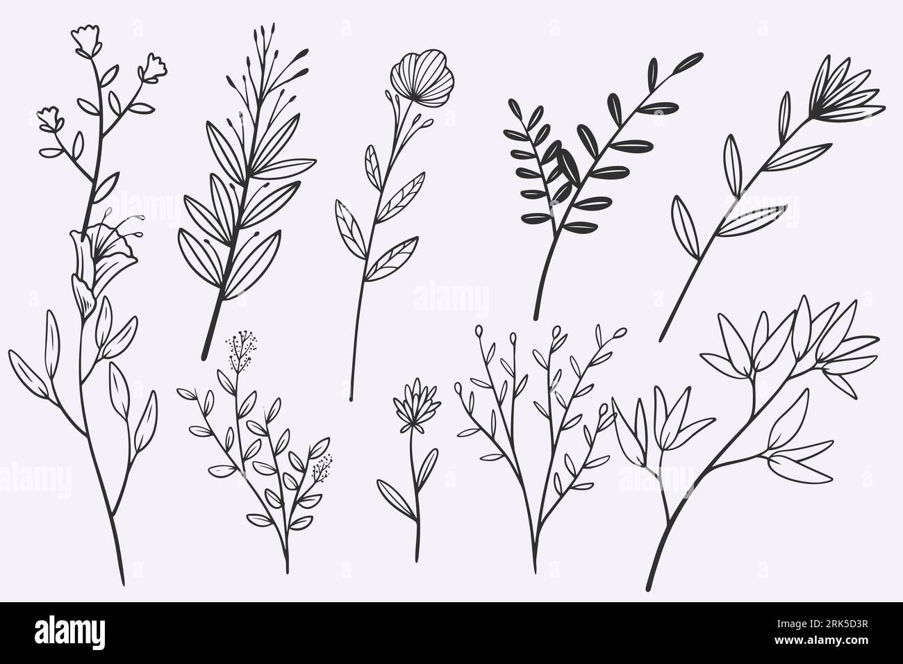 flower leaves doodle hand drawn vector illustration set Stock Vector ...