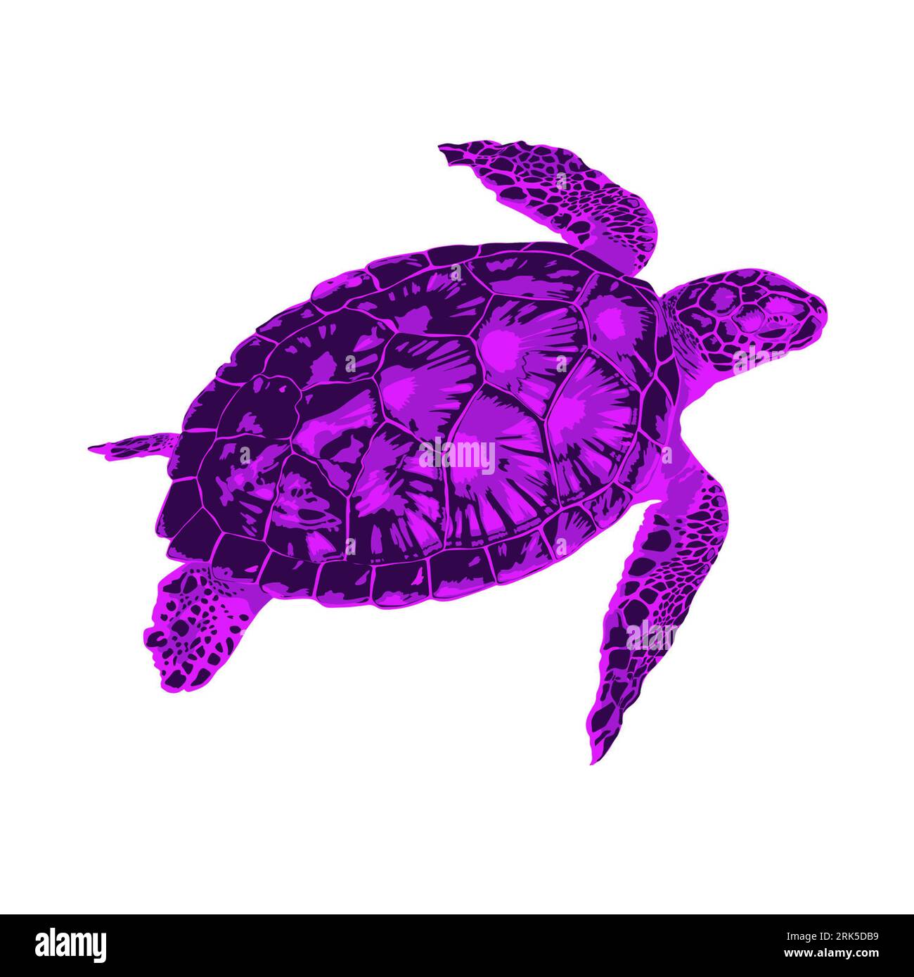 Captivating illustration Cut Out Stock Images & Pictures - Alamy