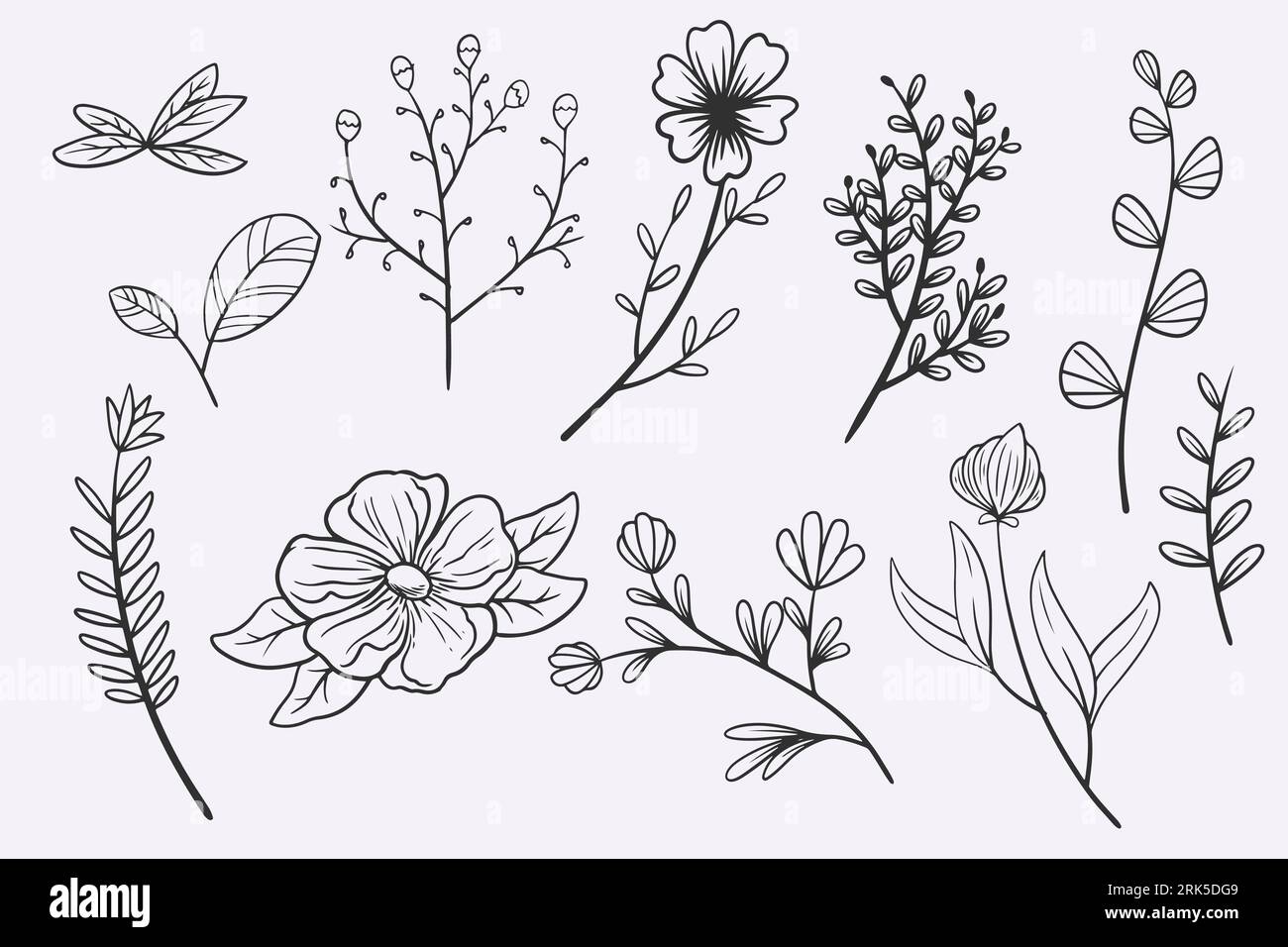flower leaves doodle hand drawn vector illustration set Stock Vector ...
