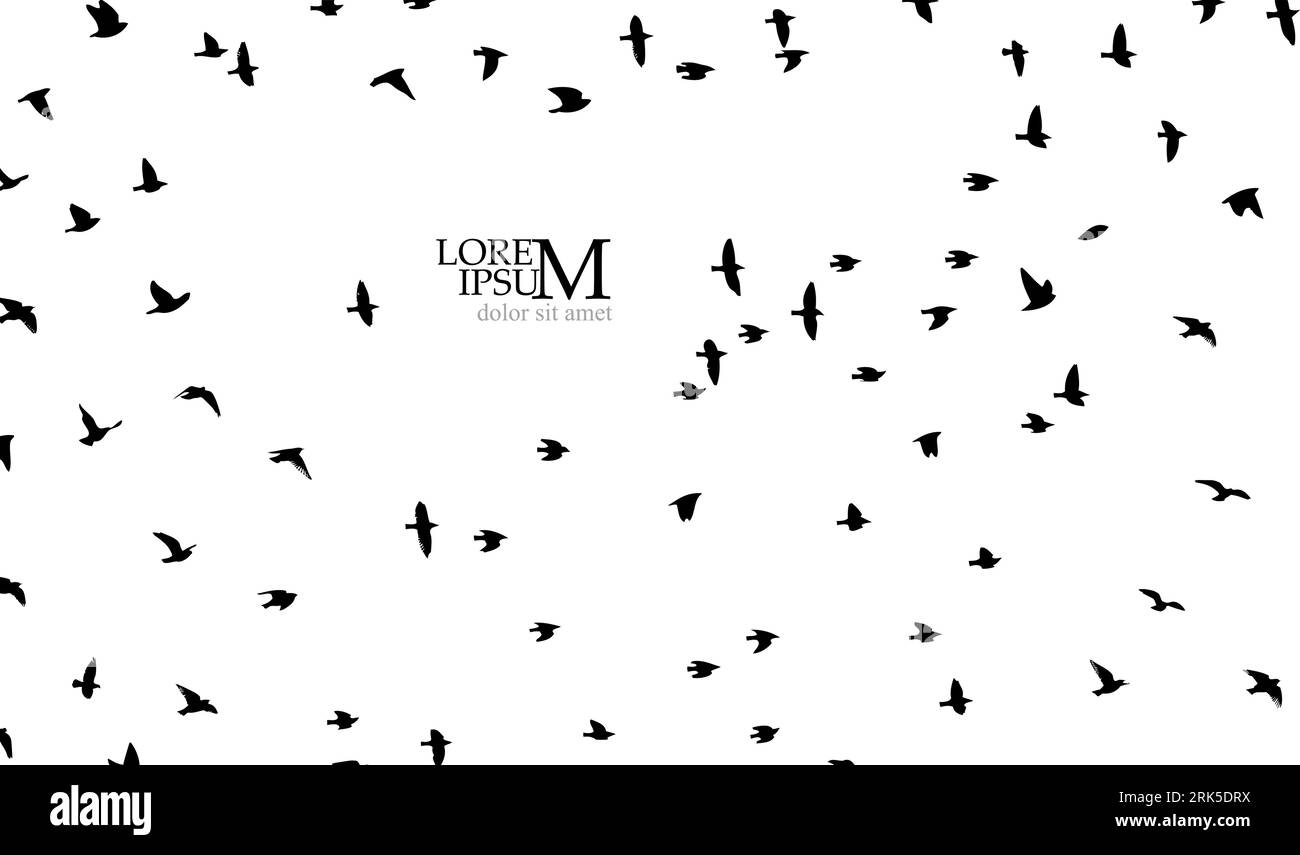 Flying birds silhouette flock. Vector illustration Stock Vector Image ...
