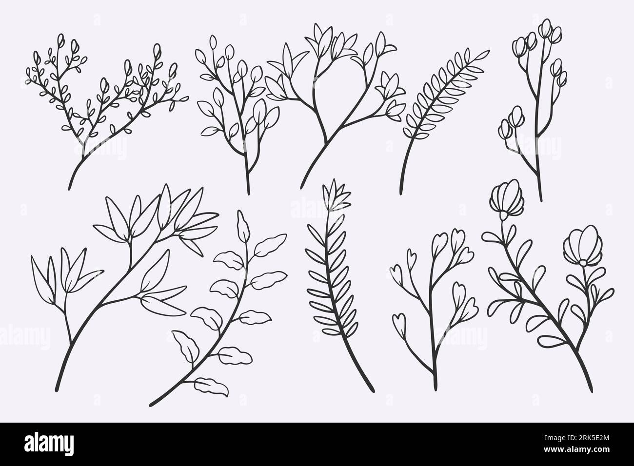 flower leaves doodle hand drawn vector illustration set Stock Vector ...