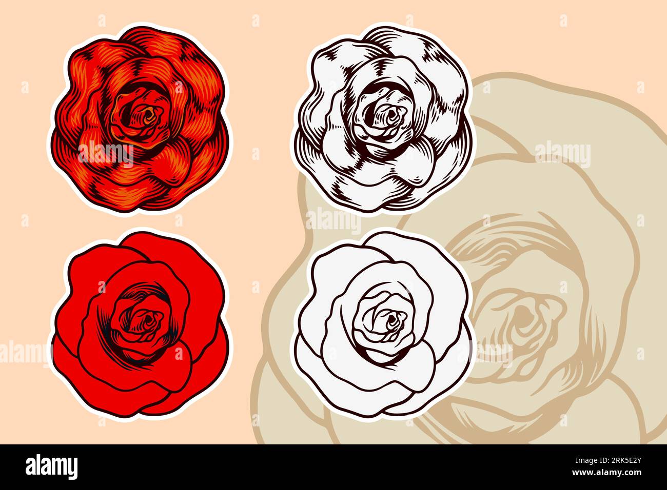 Rose flower vector illustration set Stock Vector Image & Art - Alamy