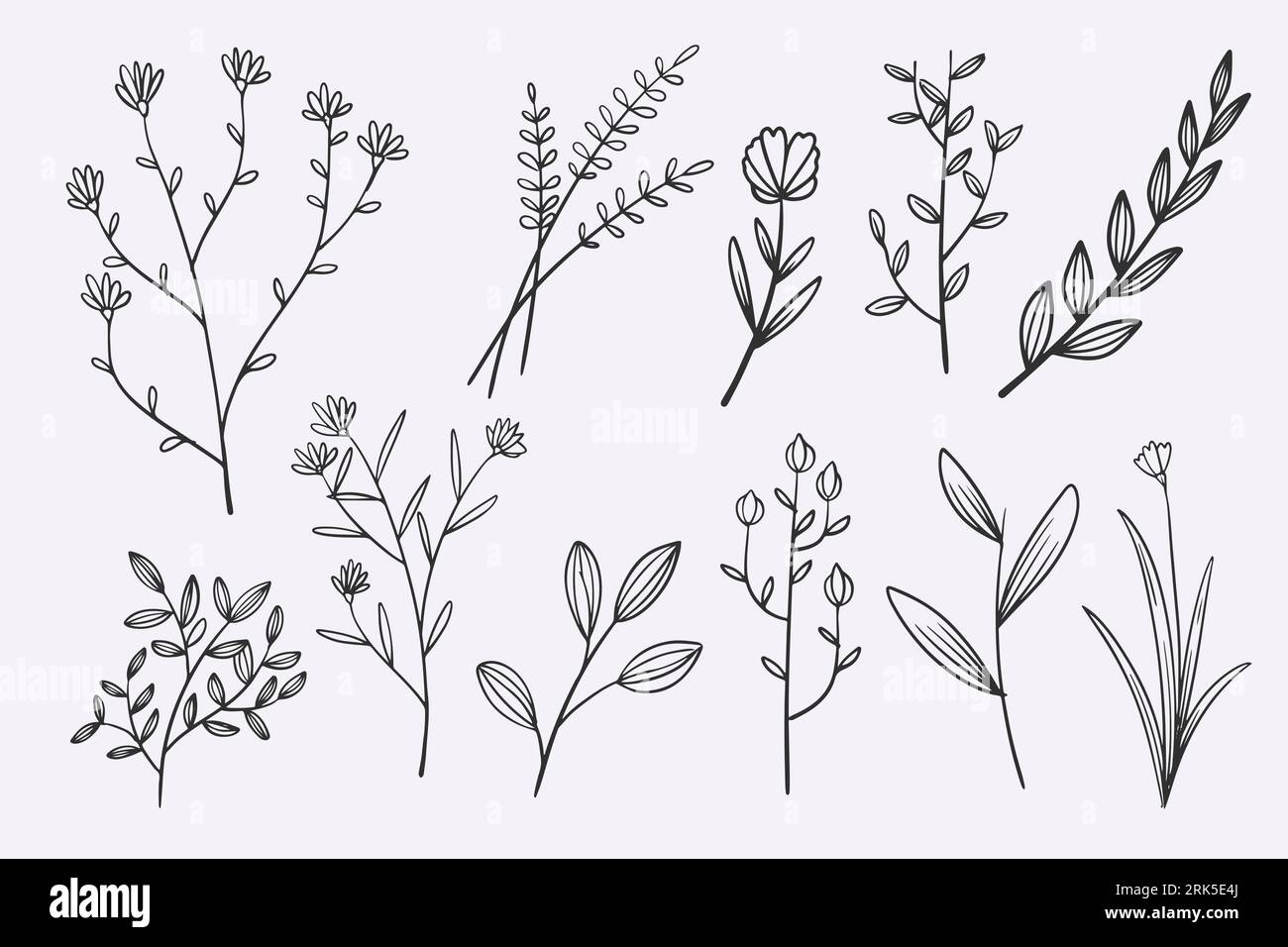 flower leaves doodle hand drawn vector illustration set Stock Vector ...