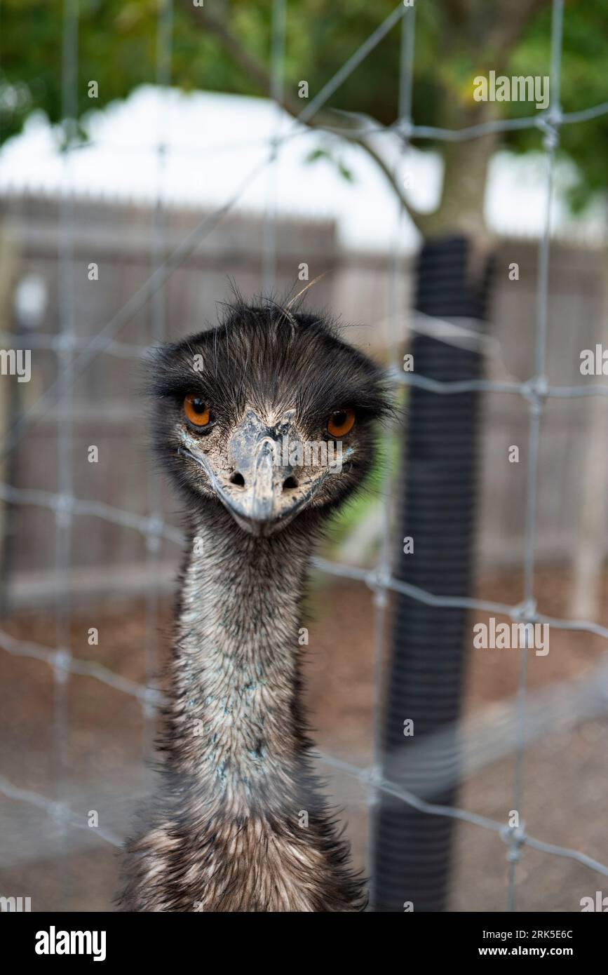 Investigation standing hi-res stock photography and images - Alamy