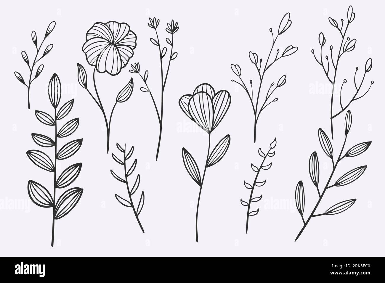 flower leaves doodle hand drawn vector illustration set Stock Vector ...