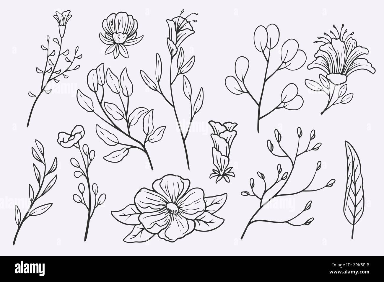 flower leaves doodle hand drawn vector illustration set Stock Vector ...