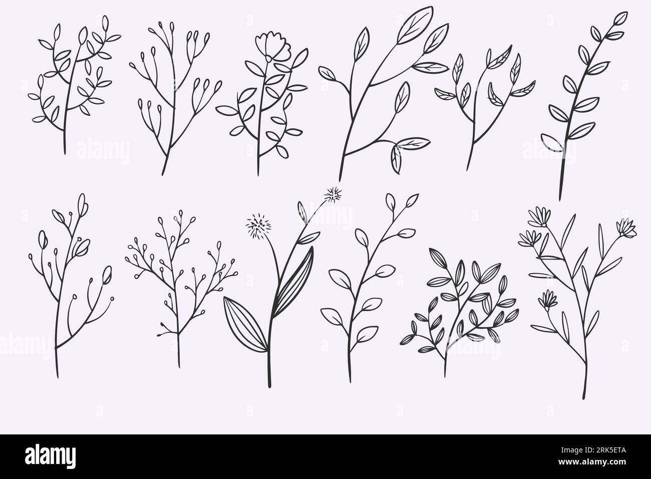 flower leaves doodle hand drawn vector illustration set Stock Vector ...