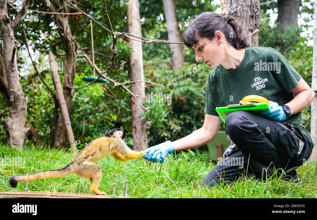 Animal track device hi-res stock photography and images - Alamy