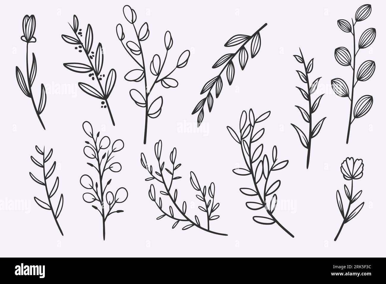 flower leaves doodle hand drawn vector illustration set Stock Vector ...